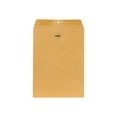 Staples 9"L x 12"H Brown Kraft Clasp Envelopes with Security Features ...