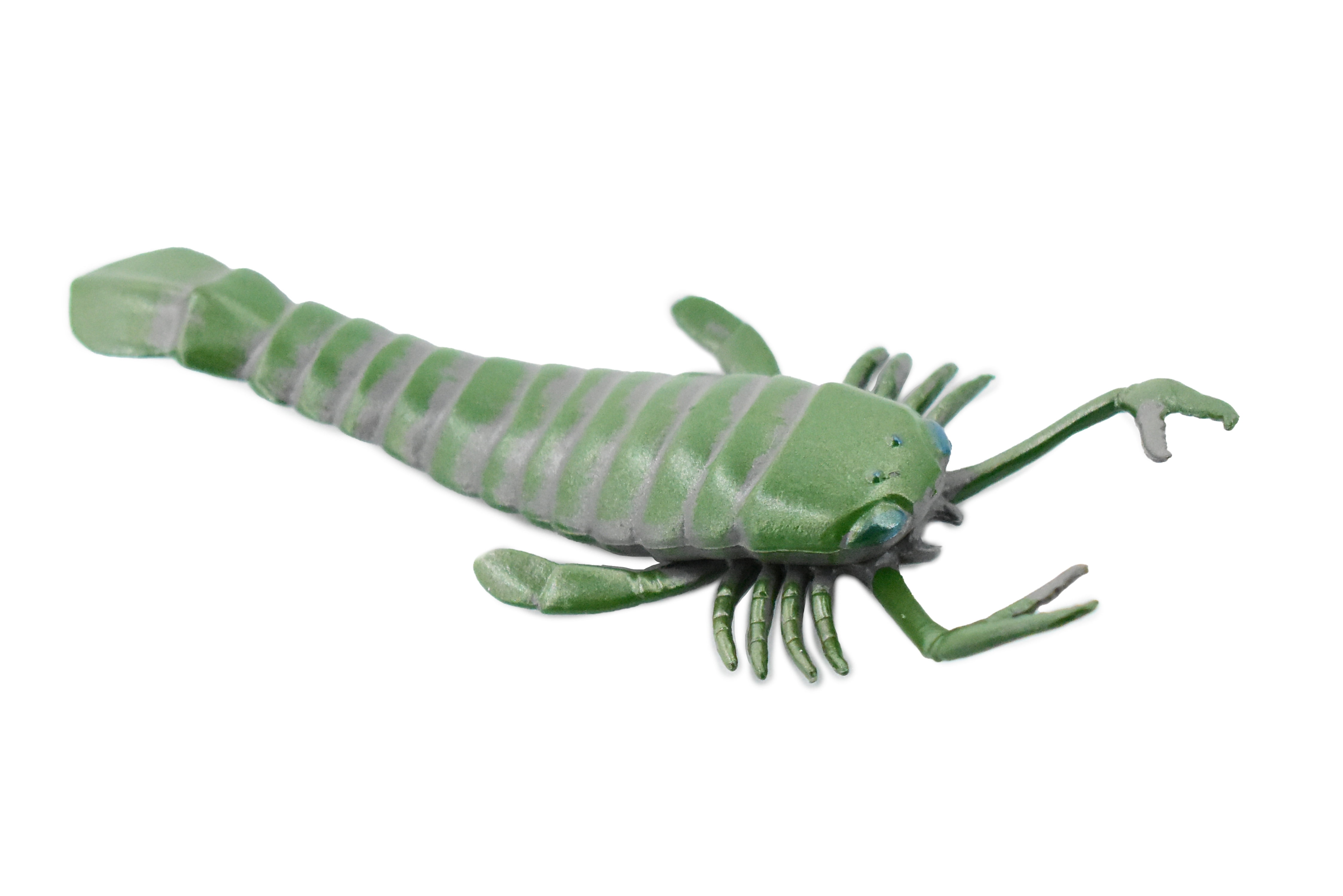 Eurypterida, Sea Scorpions, Extinct Arthropods, Hand Painted, Realistic ...