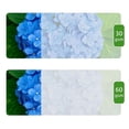 AOOOWER Multipurpose Garden Winter Shield 2x10m/2x5m Cloth Light ...