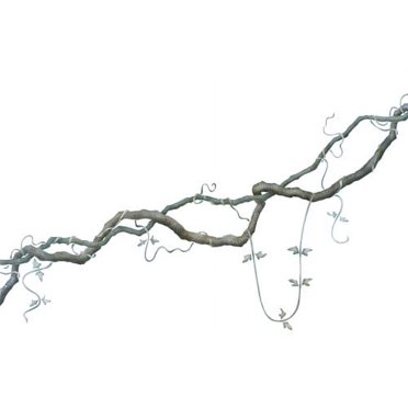 The Mad Stencilist Climbing Rose Vine Border Wall Stencil; TMS109 ...