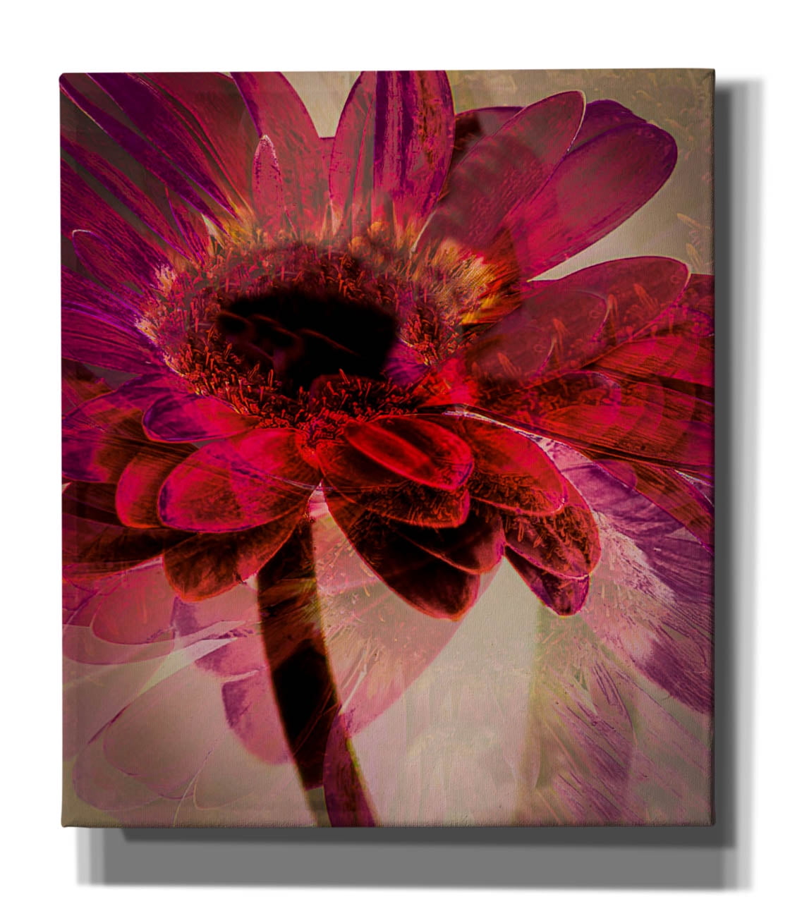 Epic Graffiti 'Disco Nights' by Pamela Plummer, Canvas Wall Art, 26"x30 ...