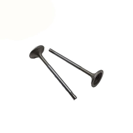 Intake Valve For Benz W271 Engine - Walmart.ca