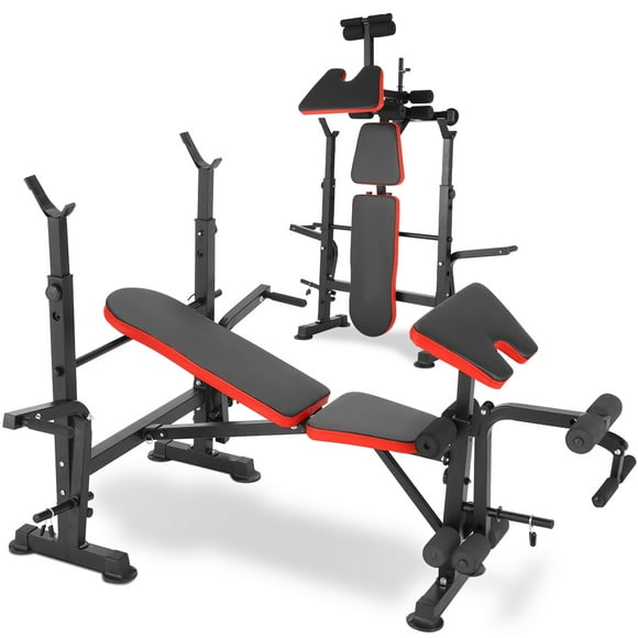 Leg Extension And Curl Bench