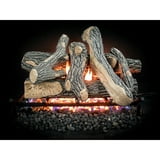 Glo-Fire GF-CA-30-HK-LP 30 in. Hearth Distribution Canyon Propane Gas ...