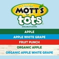Mott's for Tots Apple Juice Drink, 64 fl oz bottle, Less Sugar, Ideal ...