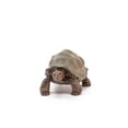 GIANT TORTOISE TOY 3-8Y (Pack of 5) - Walmart.com