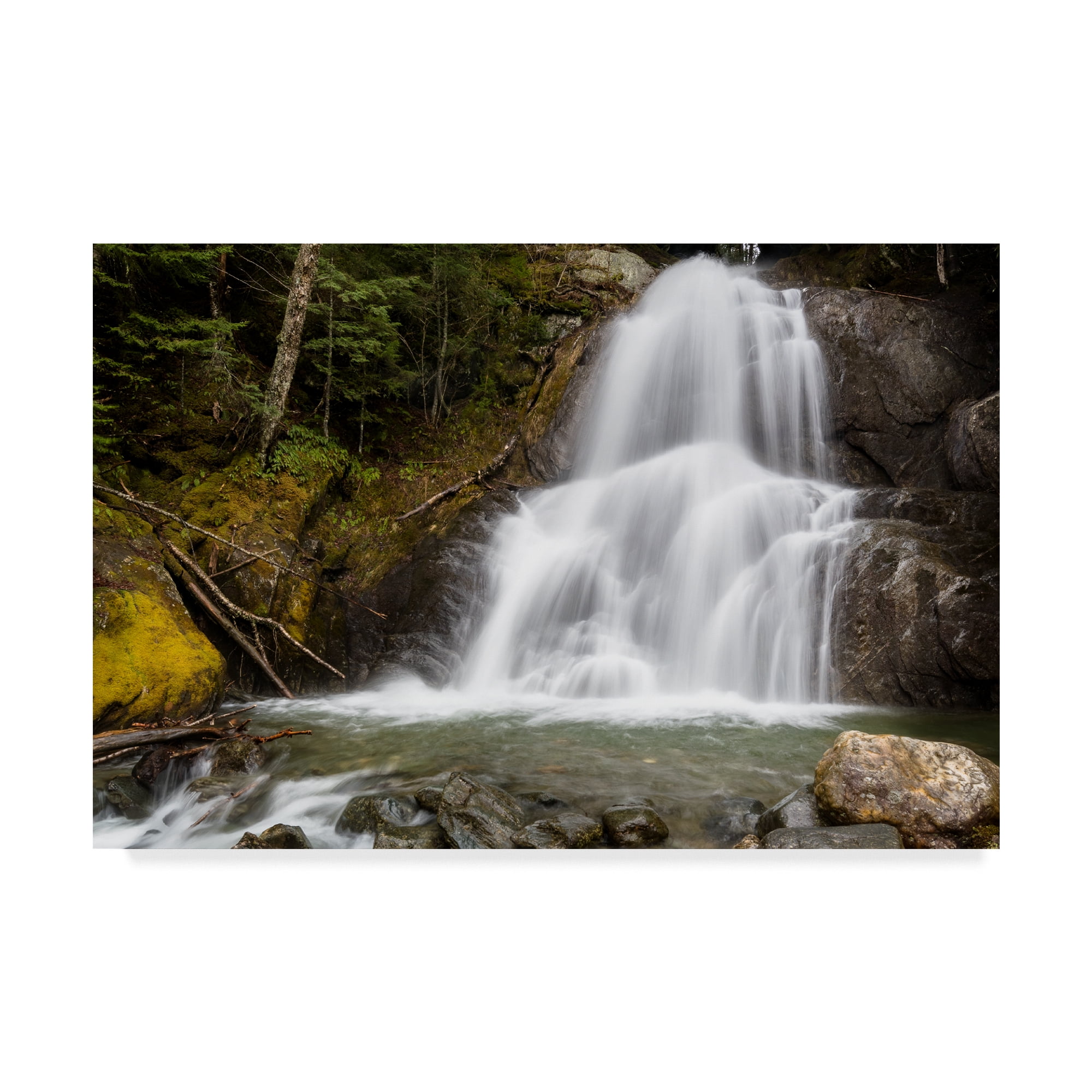 Trademark Fine Art The Sound Of Falling Water Canvas Art By Brenda trademark-fine-art-the-sound-of-falling-water-canvas-art-by-brenda