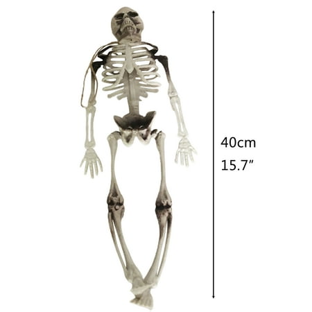 Halloween Luminous Skeleton Human Skeleton Halloween Luminous Skeleton ...