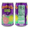 Hawaiian Sun Drinks, All Flavors, 1 Can per Flavor, Total 16 Cans ...