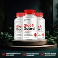 Gluco Guard Blood Support Capsules, Gluco Guard Advanced Supplement ...