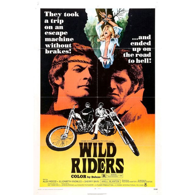 Wild Riders Movie Poster 24Inx36In Poster Art Poster 24x36 Unframed ...