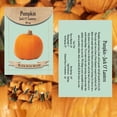 Set of 6 Melon & Gourd Garden Seed Collection – Grow Sweet Melons ...