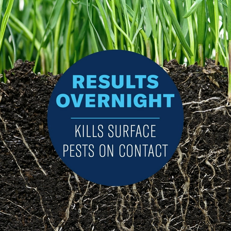 Bayer Advanced Grub Killer Plus Bayer 24 Hour Grub Killer Plus
