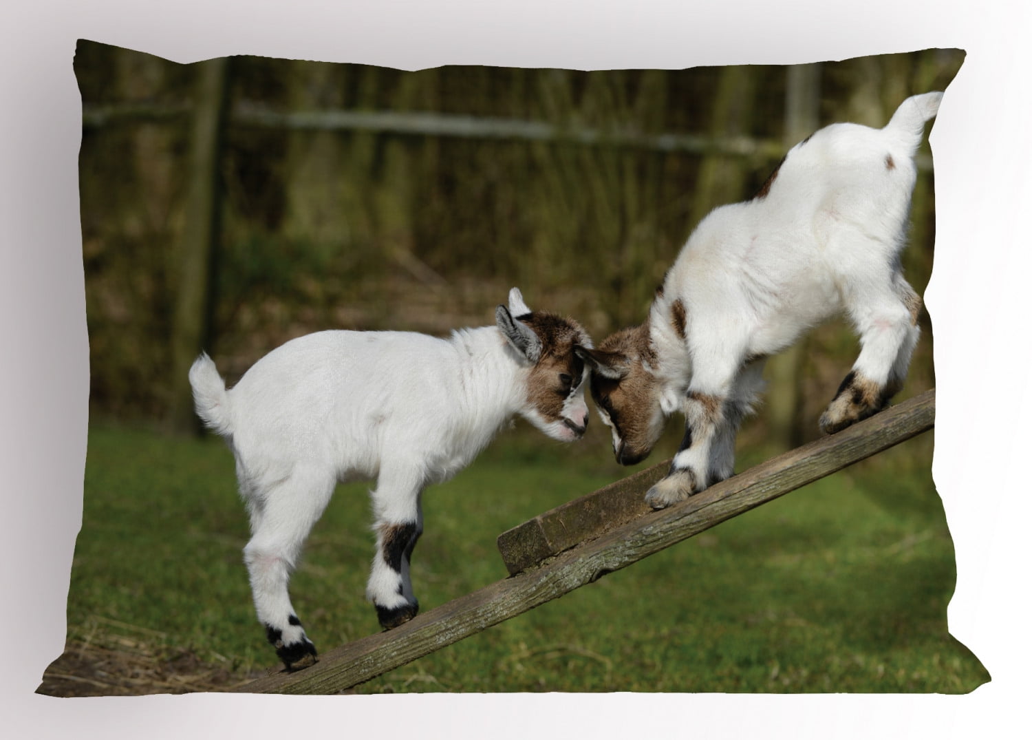 Animal Pillow Sham Two Cute Little Baby Goats on a Bench Fighting with ...