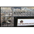 CatchMor 2-Door Squirrelinator Squirrel Trap Only - Walmart.com