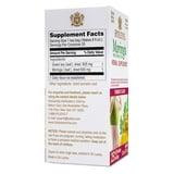 Hyleys Green Tea with Moringa Oleifera Turmeric Flavor - 25 Tea Bags ...