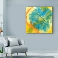 Trademark Fine Art Lotus Monotype II Abstract Wall Art by Carolyn Roth ...