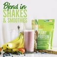 BetterBody Foods Organic Plant Based Protein Powder, 16g of Protein 24% ...