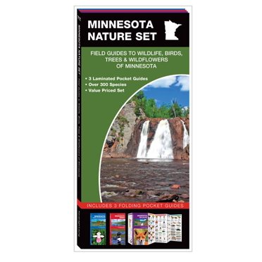 Introducing Github: A Non-Technical Guide (Paperback) - Walmart.com