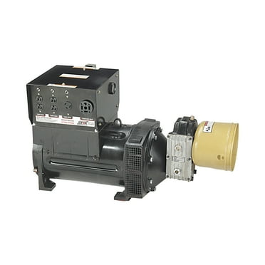 NorthStar Belt Driven Generator Head, 10,000 Surge Watts, 9,600 Rated ...