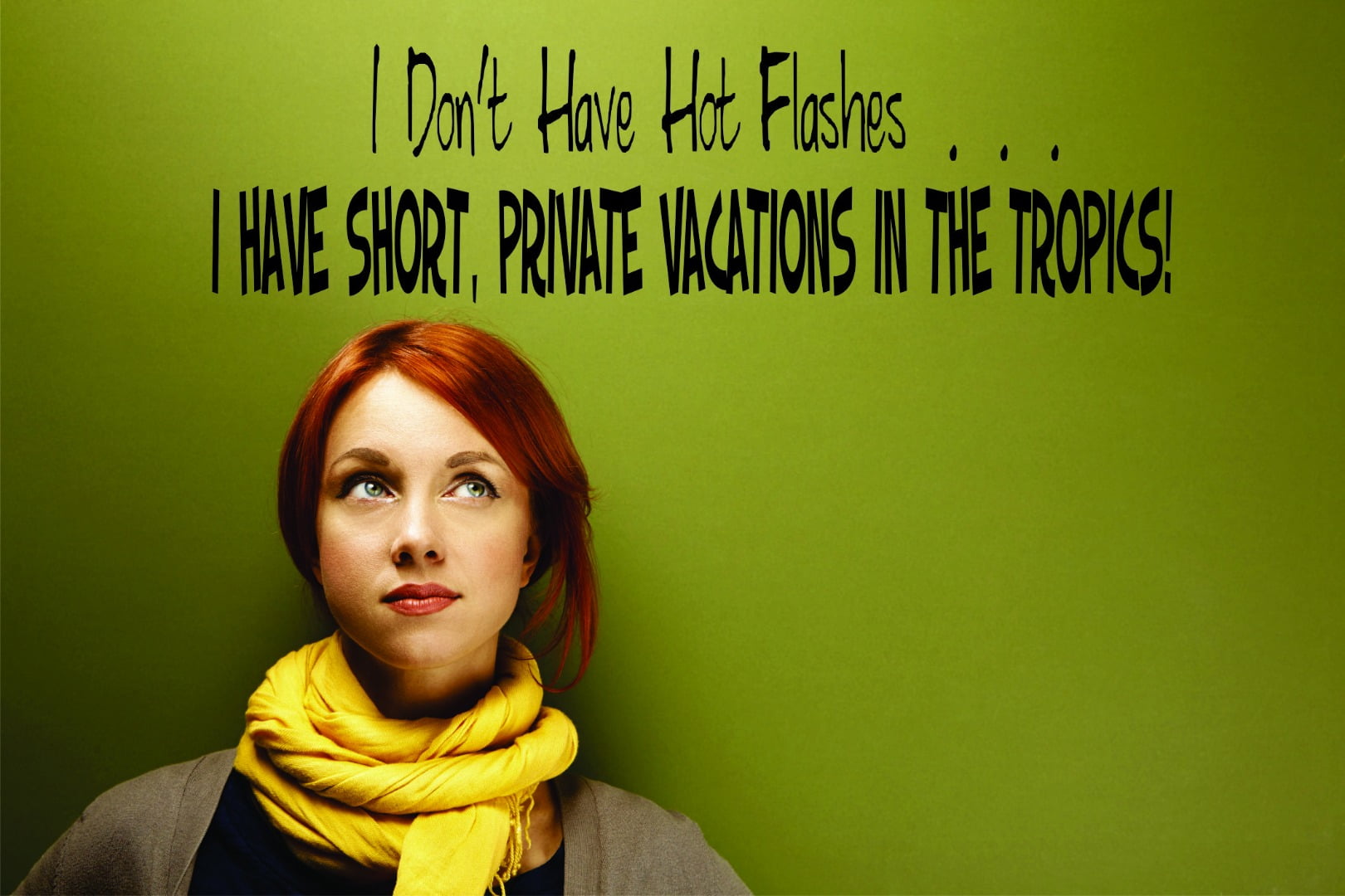 Custom Wall Decal : I Don't Have Hot Flashes... I Have Short, Private ...