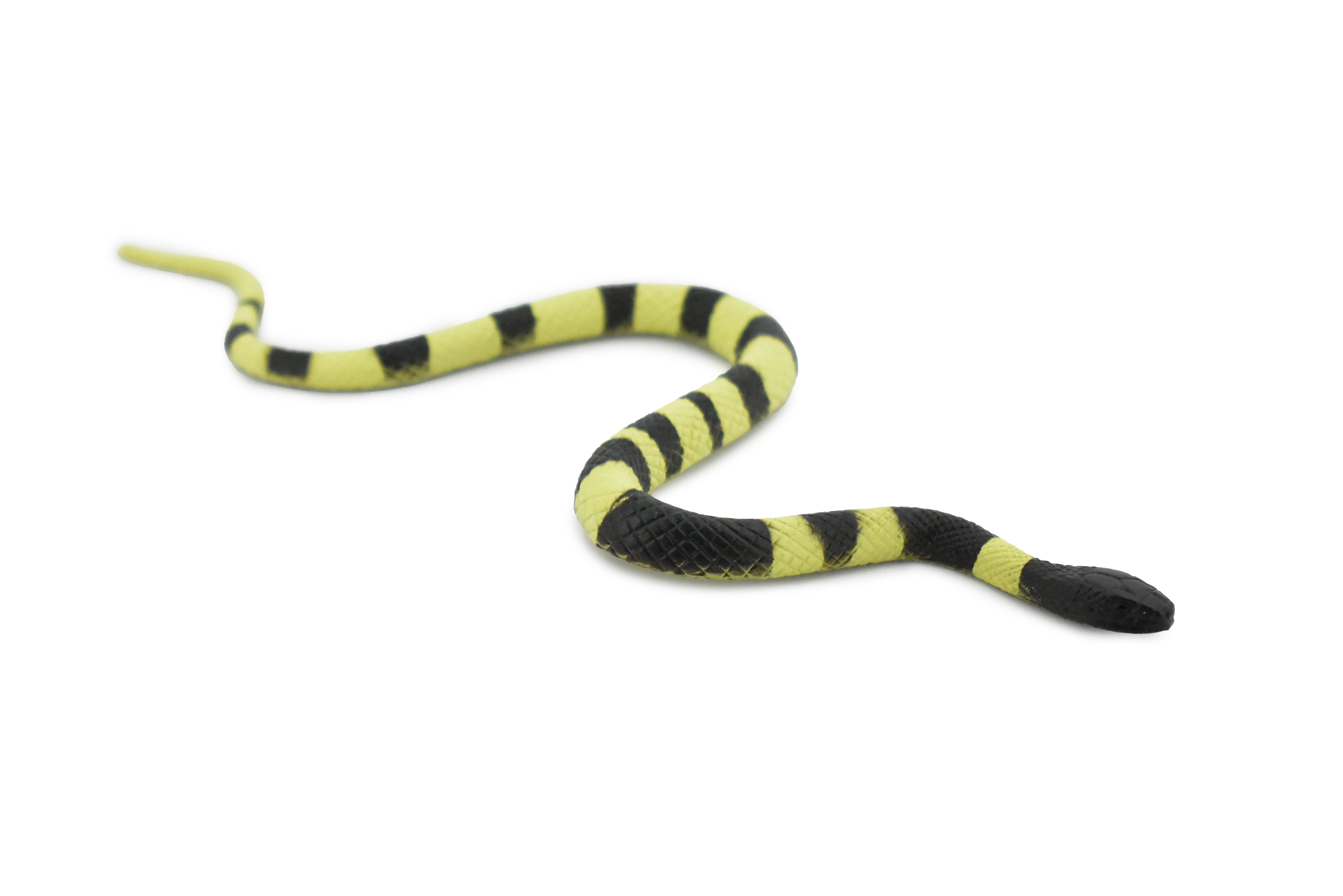 Snake, Banded Krait Snake, Rubber Reptile, Educational, Realistic Hand ...