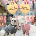 Pet Artist Cute Heart Shape Pet ID Name Tag Personalized Dog Cat Puppy ...