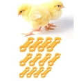 12Pieces Chicken Leg Brackets For Quail And Poultry Care Bird - Walmart.com