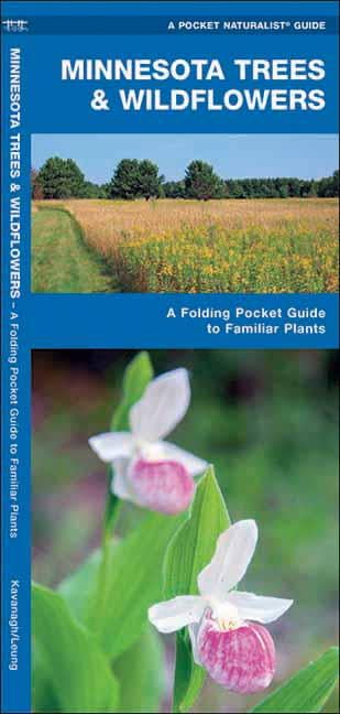 Pocket Naturalist Guides: Minnesota Trees & Wildflowers: An ...