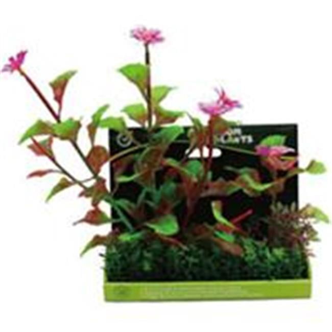 Poppy Pet 062196 8 in. Bushy Foreground Pod No.9 Aquarium Decor ...