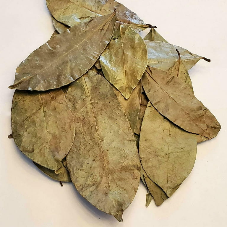 Dried Guyabano Leaves