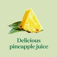 Simply Pineapple All-Natural Non-GMO Juice Drink, 52 fl oz - Walmart.com