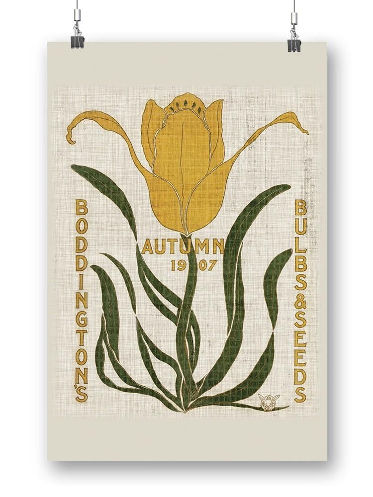 Flower Seed Packs I Poster - Vision Studio Designs, - Walmart.com