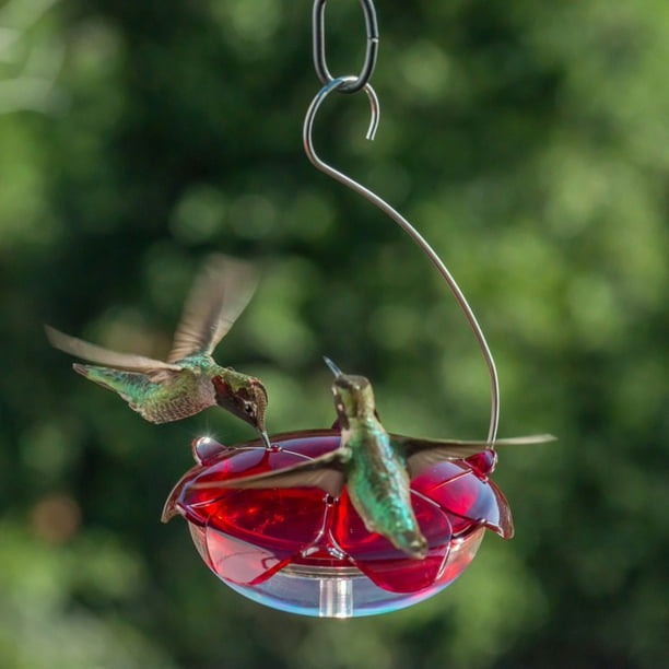 Droll Yankees Clear Ruby Sipper Hummingbird Feeder - Walmart.com ...