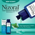 Nizoral Anti-Dandruff Shampoo, 14 Fl Oz, Peppermint & Tea Tree ...