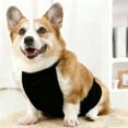 cbzote cbzote Belly Protector Shield for Corgi Dogs Keeps Dry in Wet ...