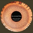 E Brown - The Universal Flute - Music & Performance - CD - Walmart.com