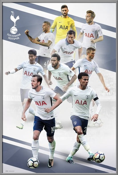 Tottenham Hotspur - Framed Soccer Poster / Print (The Players - Season ...