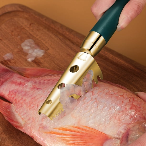 Stainless Steel Fish Scaler Quick Scale Bone Skin Skinner Fishing ...