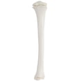 Axis Scientific Skeleton Model of a 5-Year Old Child, Half ...