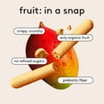 Kencko Mango Organic Fruit Snaps, Freeze Dried Fruit Snacks, 1 oz ...
