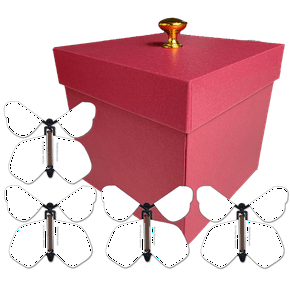 Flying Butterfly Gift Box