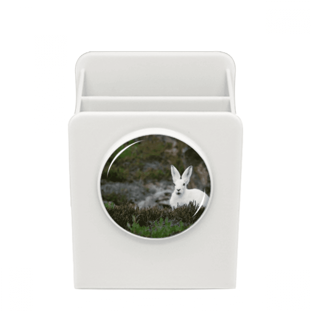 White Rabbits Science Nature Scenery Desk Pencil Holder Cup Pen ...