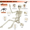 36" Skeleton Halloween Decorations, 3ft Life Size Human Skeleton with ...
