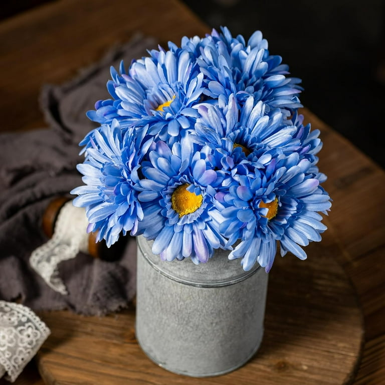 Blue Gerbera Daisy Flowers