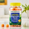 Spring Valley Magnesium Extra Strength Gummies 250mg for Bone and ...