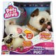 Pets Alive Poppy the Booty Shakin’ Pug – Interactive Dancing Plush ...