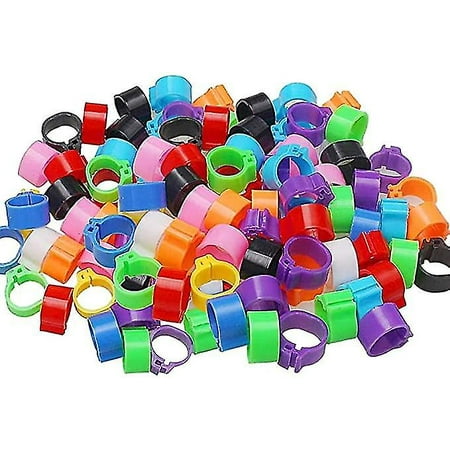 Tatum88 Hen Ring Leg Rings Identification 20mm Plastic Colored Chicken ...