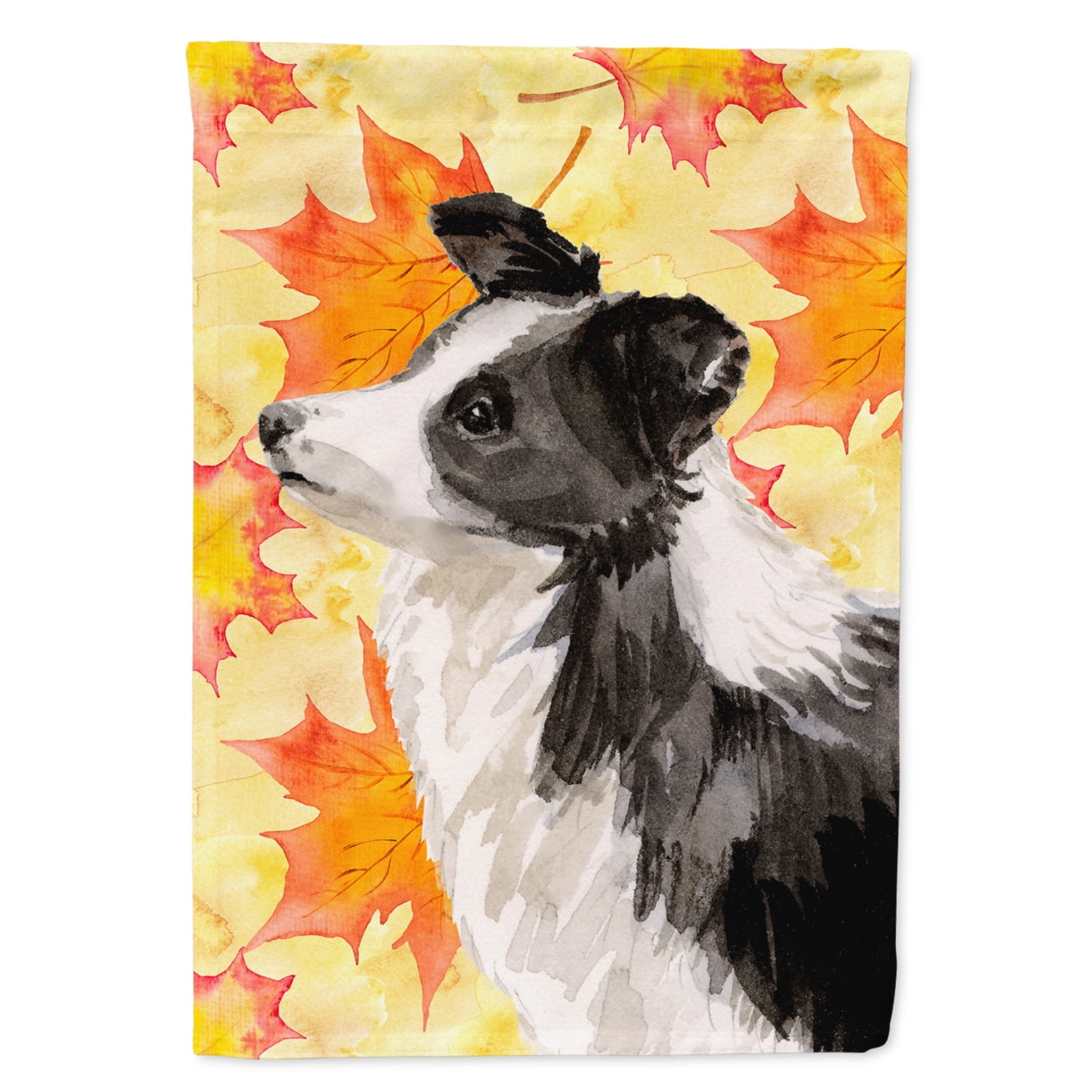 Border Collie Yorkie Mix