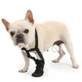 Dog Forepaw Recovery Shoe Breathable Soft Dog Bootie Water Resistant ...